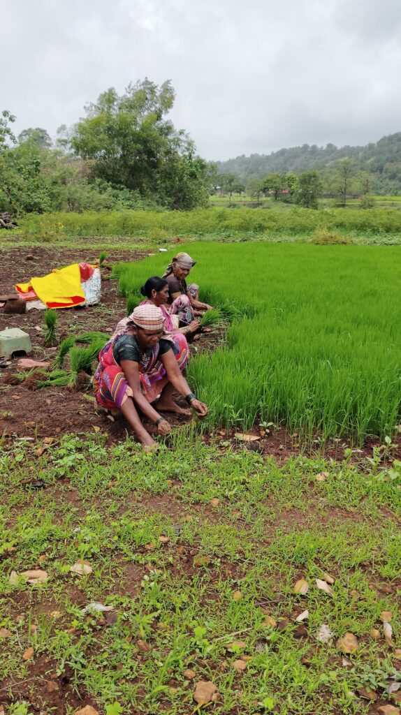 Here are some reasons and ways to prevent water scarcity.